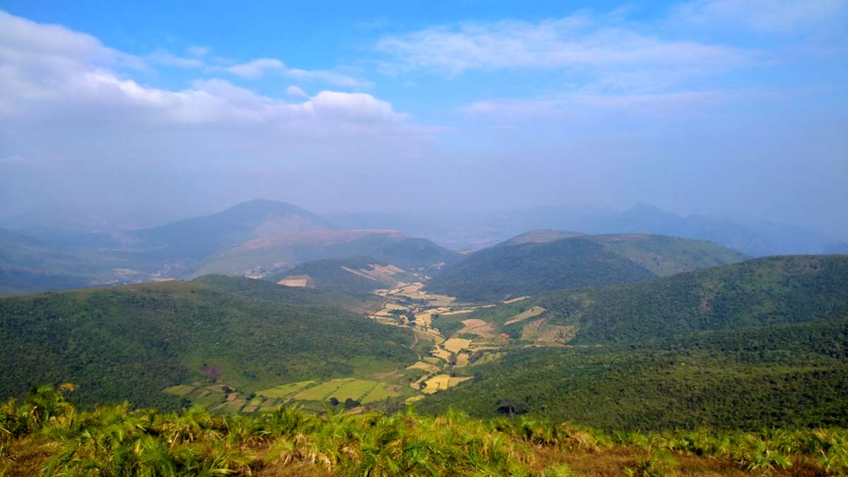 Odisha Explorer Hub - Discover Nature's Heritage